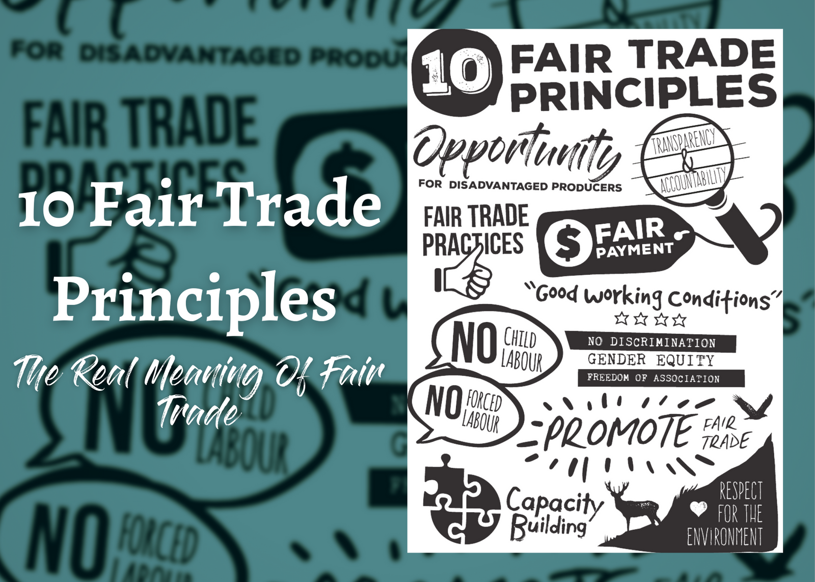 10 Principles of Fair Trade - The Real Meaning Behind Fair Trade ...